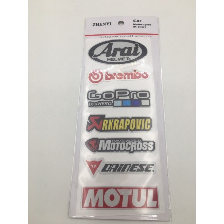 VINILO MOTUL BREMBO GoPro