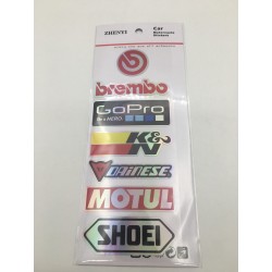 VINILO MOTUL BREMBO GoPro